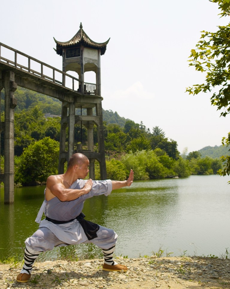 a shaolin warrior’s diet | shifuyanlei