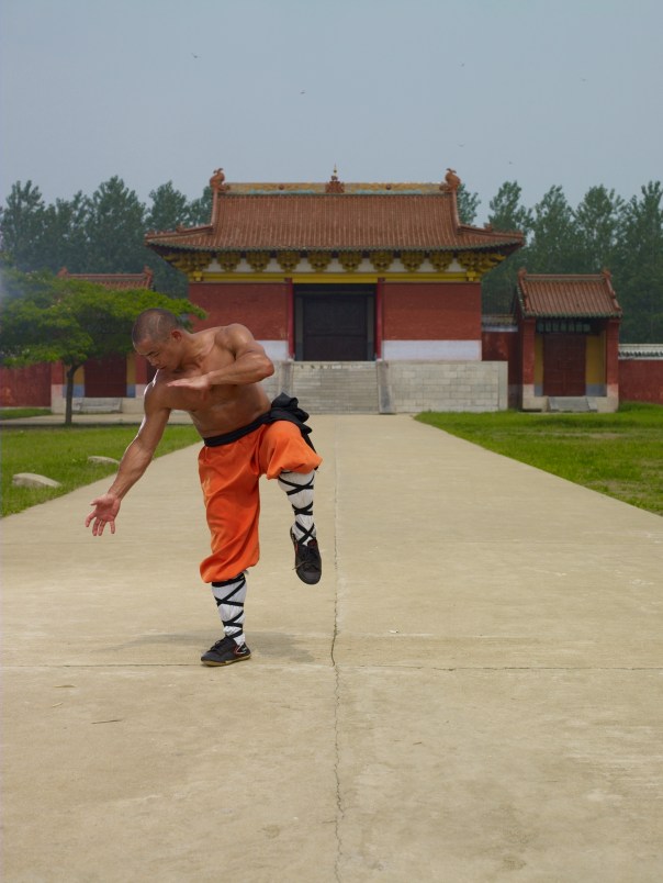 5 Tips for Mastering Your Shaolin Forms | shifuyanlei